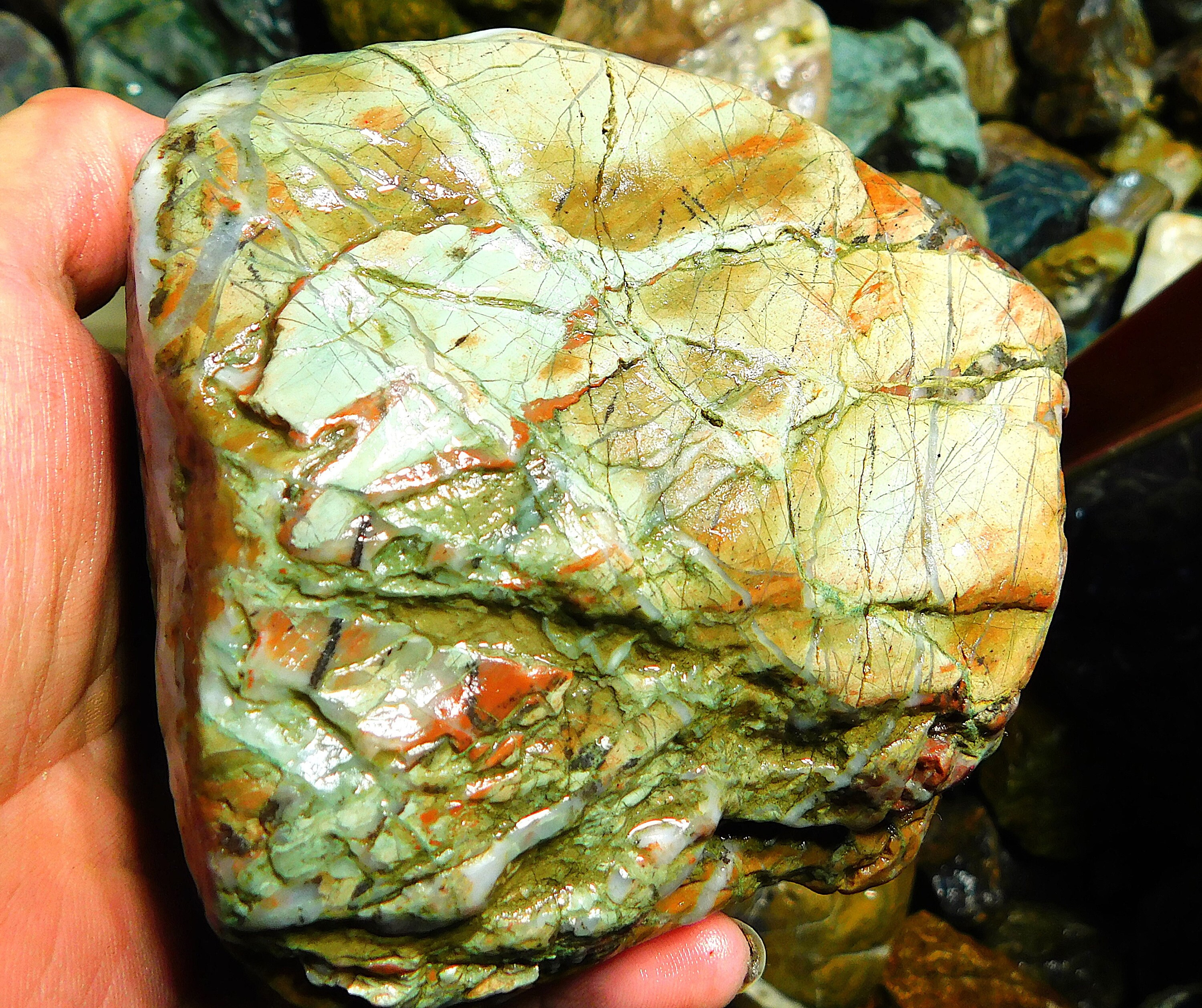 Multi-colored Jasper SUPER PRETTY Jasperized Wood Rough River Rock - Etsy