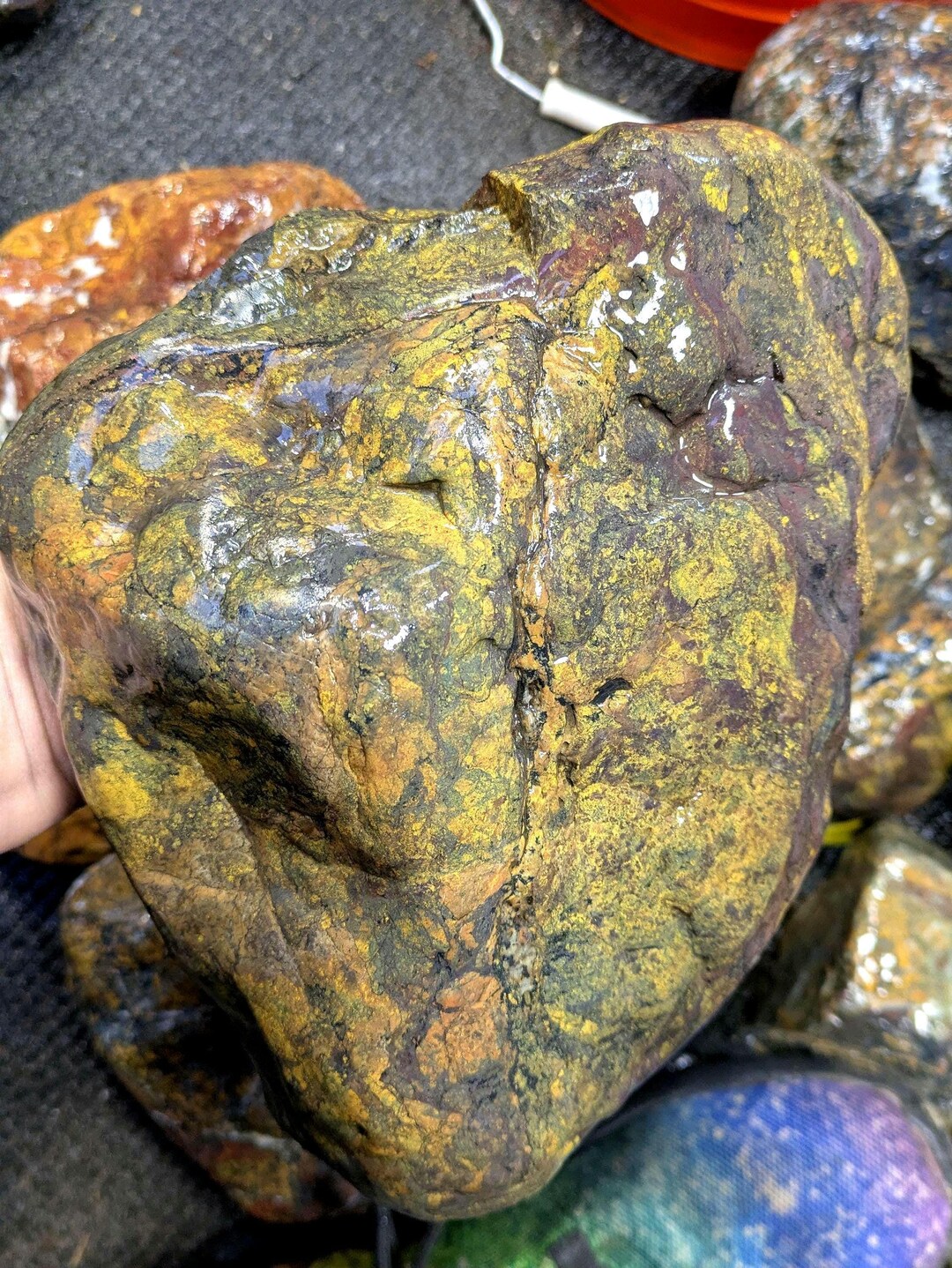 BEAUTIFUL Yellow and Red Brecciated Jasper - Northern California River ...
