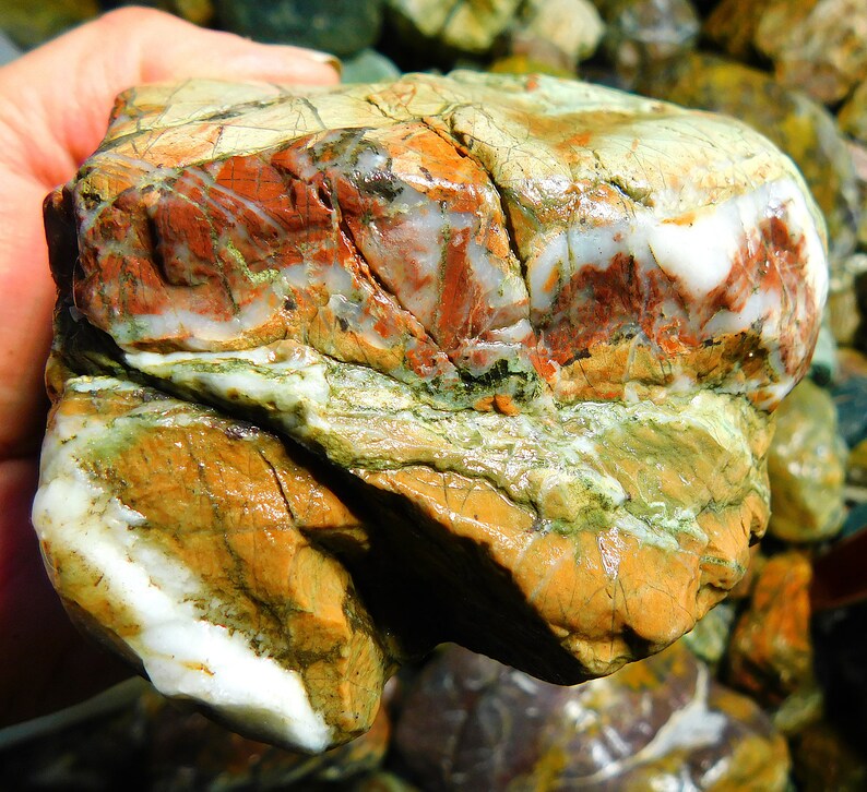 Multi-colored Jasper SUPER PRETTY Jasperized Wood Rough River Rock - Etsy