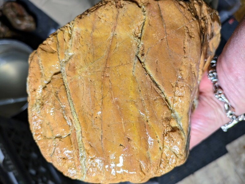 Yellow Feather Jasper W/quartz - Picasso Stone - Absolutely Gorgeous ...