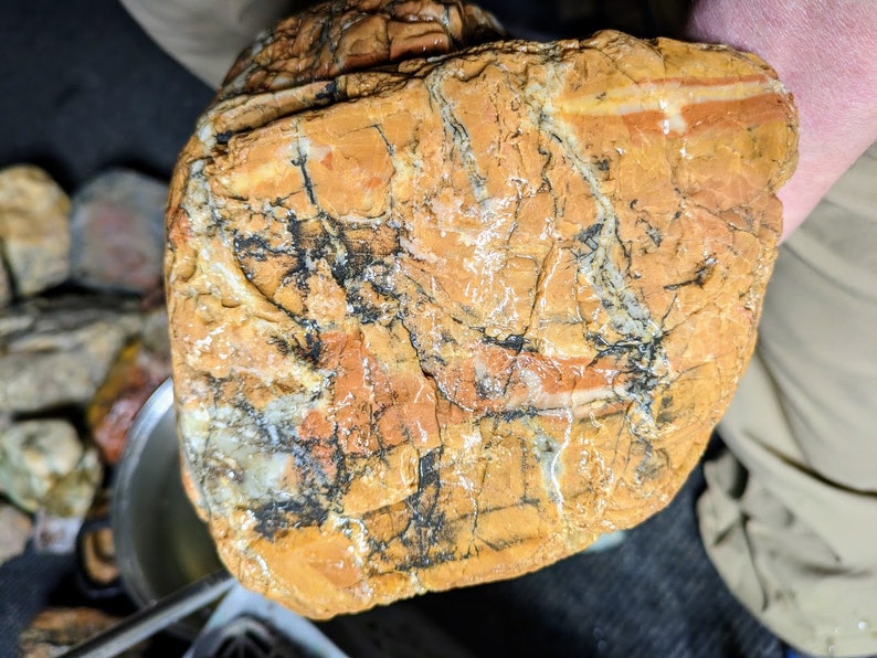 Yellow Feather Jasper W/quartz - Picasso Stone - Absolutely Gorgeous ...