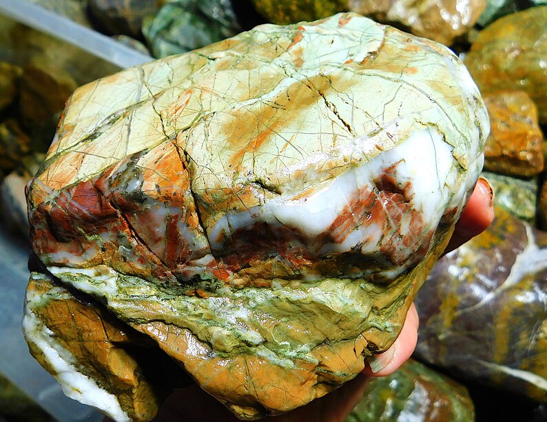 Multi-colored Jasper SUPER PRETTY Jasperized Wood Rough River Rock - Etsy