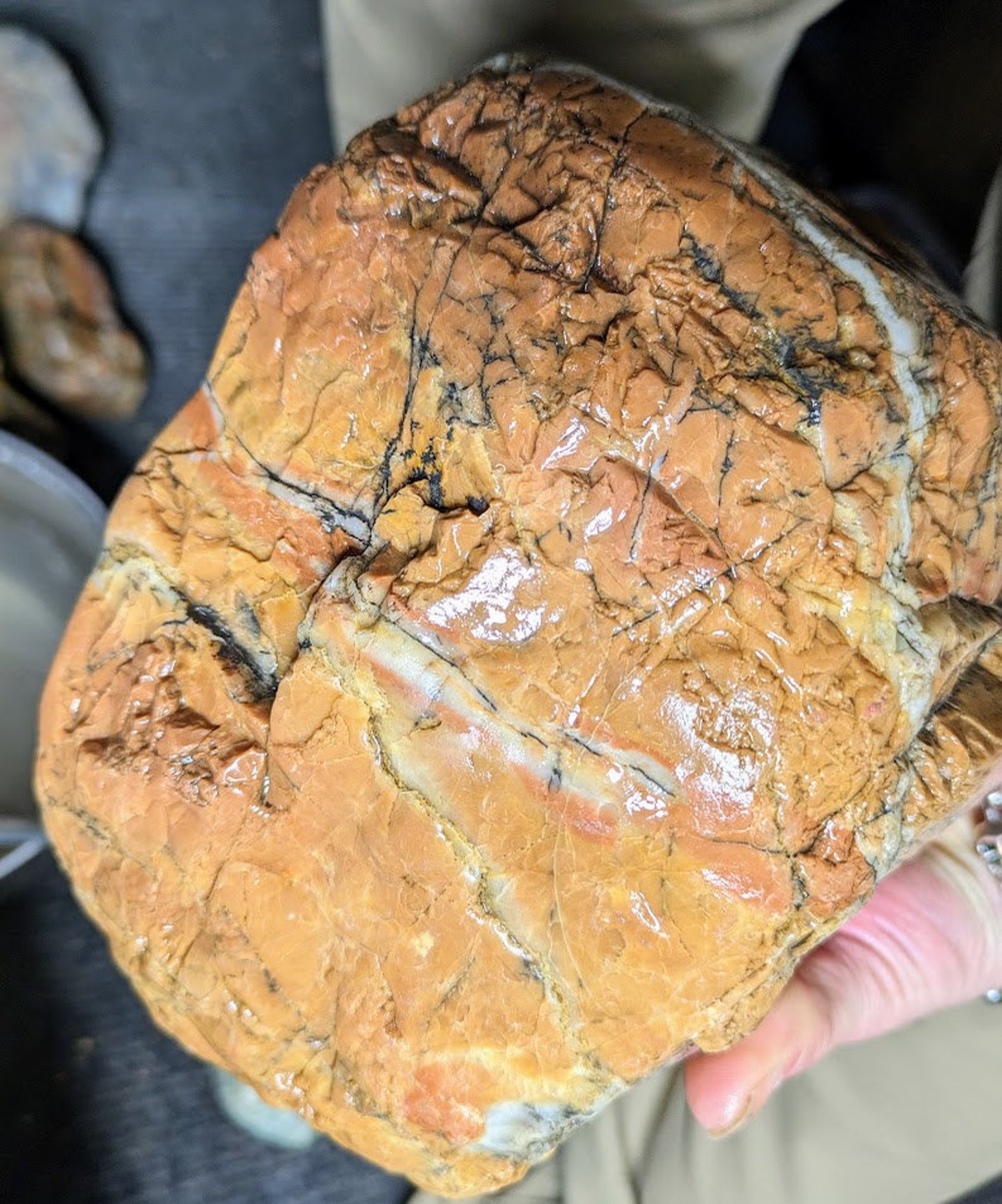 Yellow Feather Jasper W/quartz - Picasso Stone - Absolutely Gorgeous ...