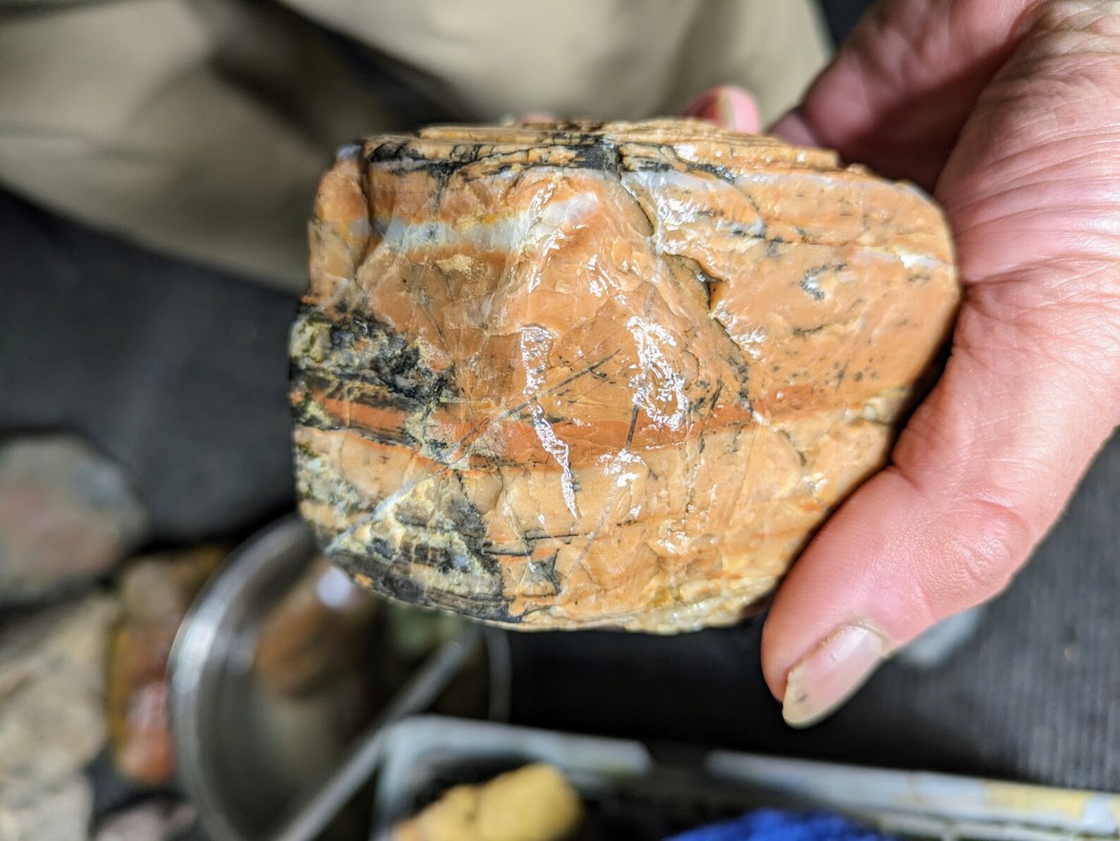 Yellow Feather Jasper W/quartz - Picasso Stone - Absolutely Gorgeous ...