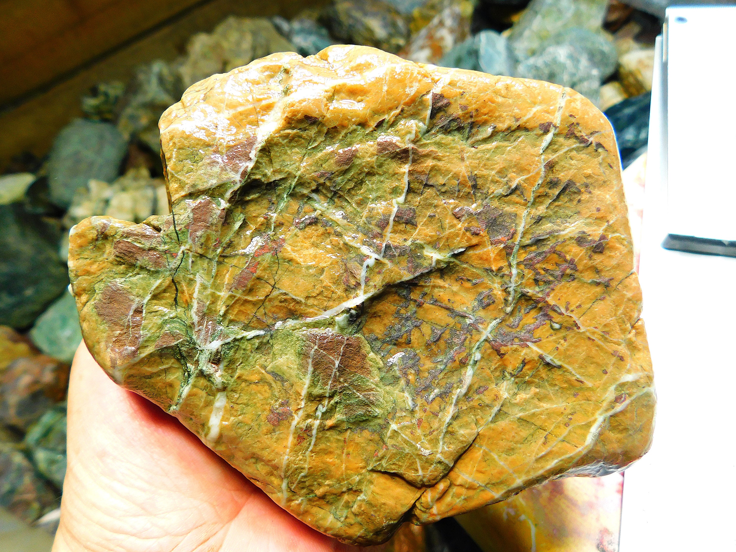 Multi-colored Jasper SUPER PRETTY Jasperized Wood Rough River Rock - Etsy