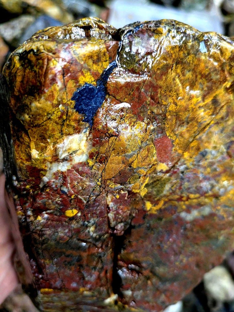 INCREDIBLE - Rare Multi-colored Brecciated Jasper W/blue Inclusions ...
