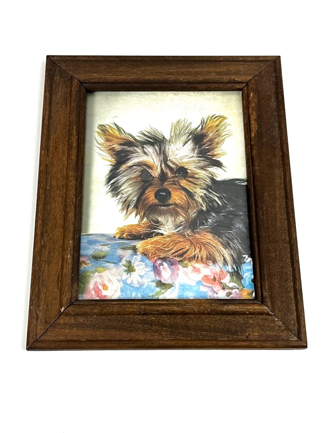 Vintage Iridescent Yorkie Art Photo in Frame Cute Remembrance Gift Wall ...