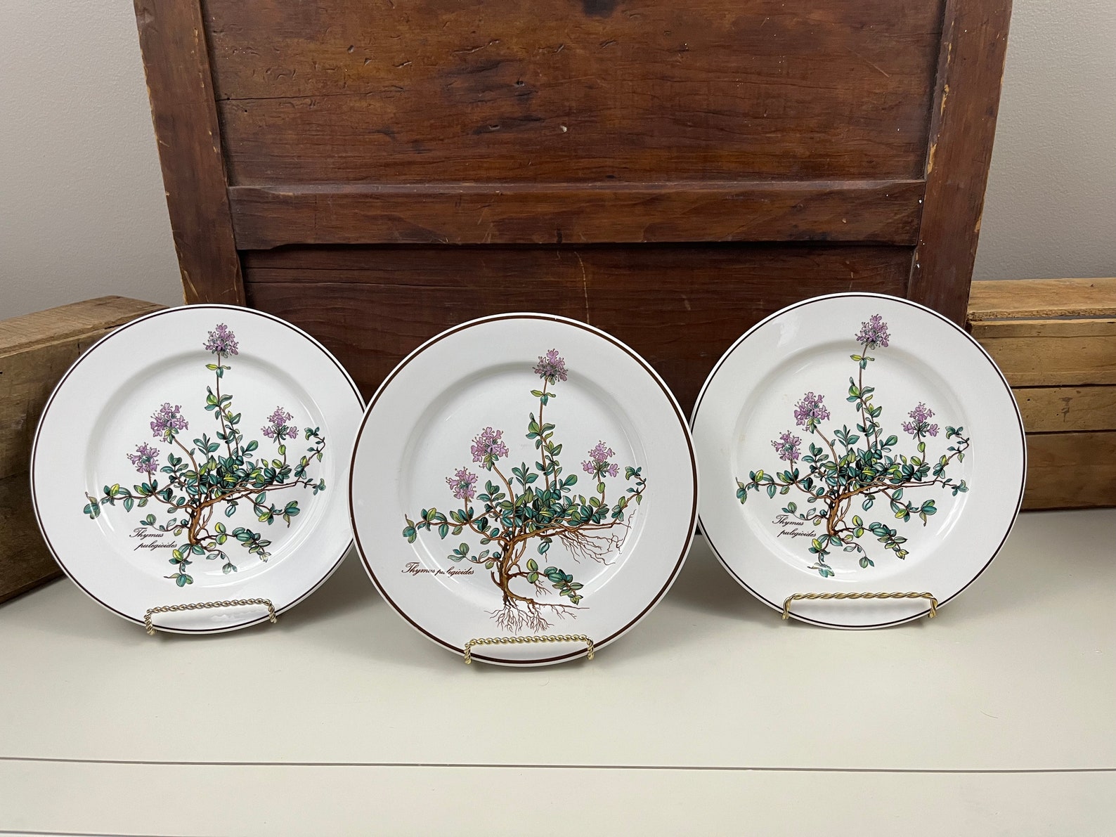 Vintage "thyme" Villeroy & Boch Botanica Luncheon Plates Garden Party ...
