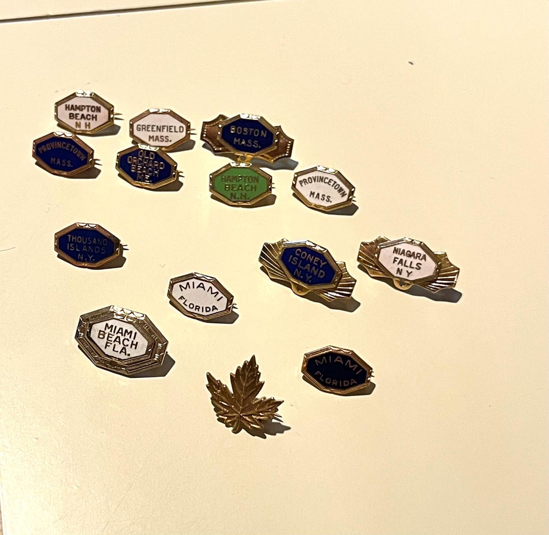 Vintage Collection of Tiny State Souvenir Pins 14 Hat Pins Lapel Pins ...