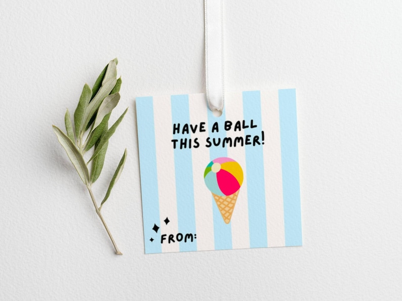 Classmate Gift Tag Summer Break, End of Year Tag, End of School Tag ...