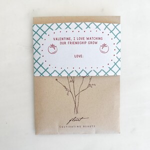 Veggie Seeds Valentine Printable for Classroom, Preschool, or Personal ...