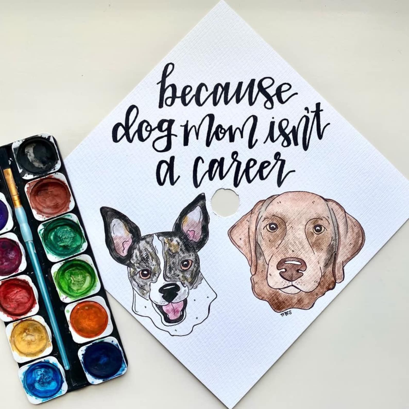 Painted Graduation Caps, Hand Painted Grad Cap, Custom Graduation Cap ...