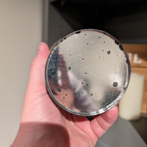 Vintage 1960s 70s Boston's Mint Tea Metal Can Iced Tea Old & Original ...