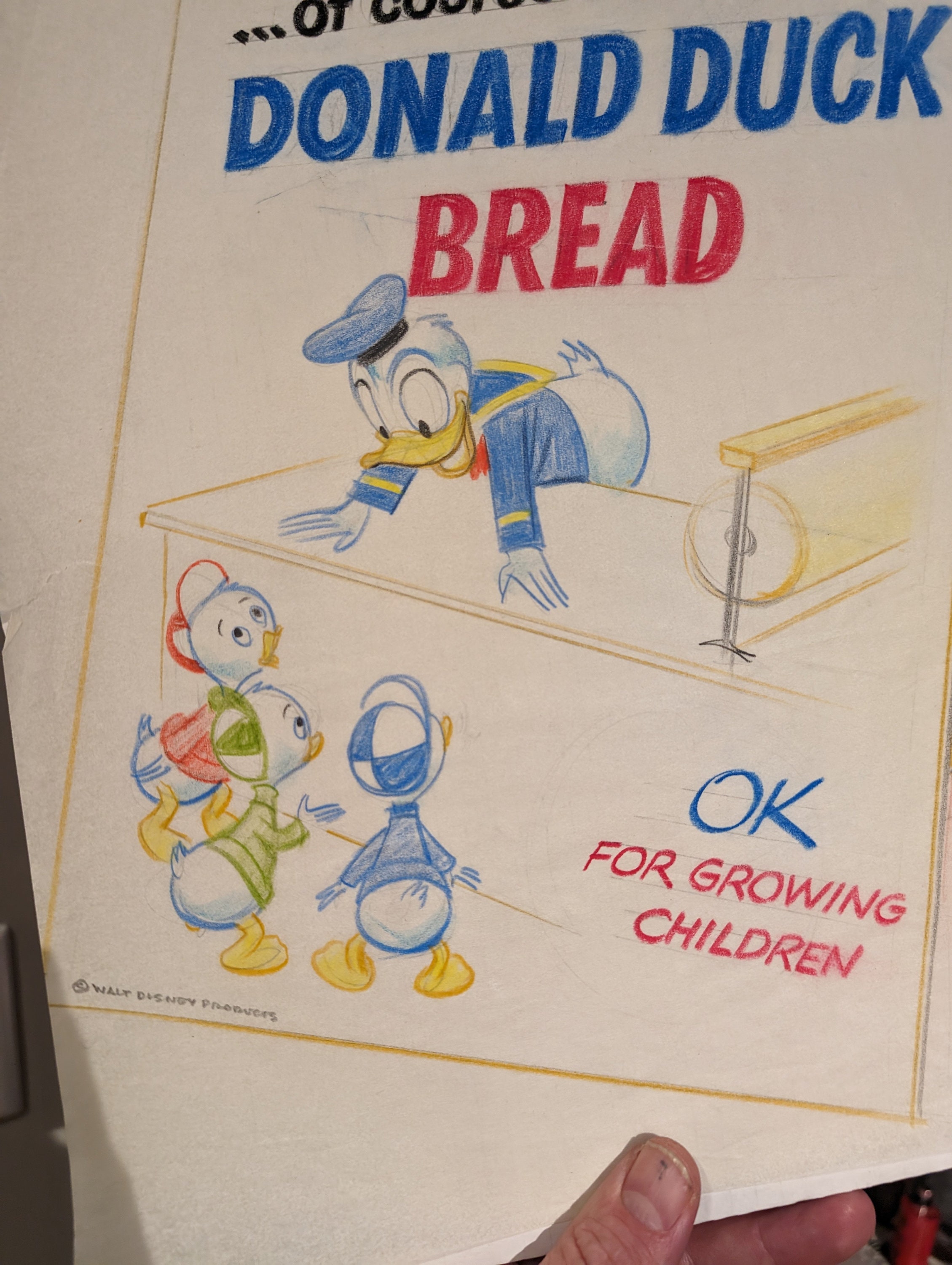 Vintage 1950s Donald Duck Bread Advertising Rendering/sketch Old ...
