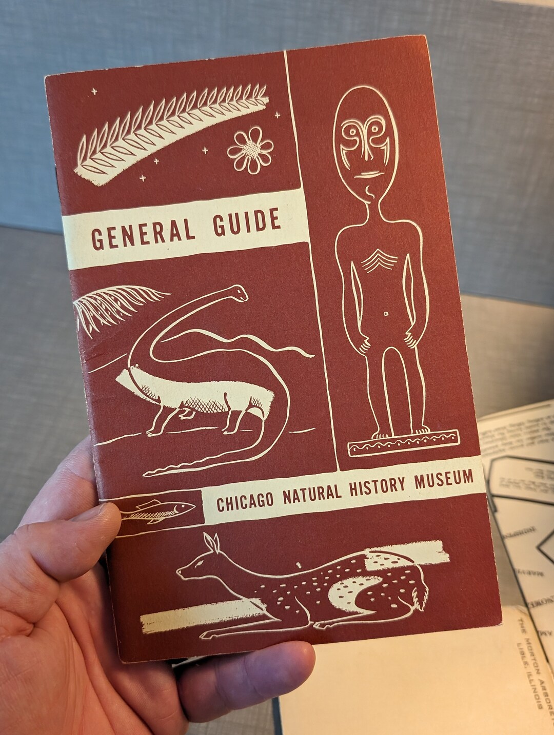 1962 Chicago Natural History Museum Booklet 48 Pages Vintage Booklet ...