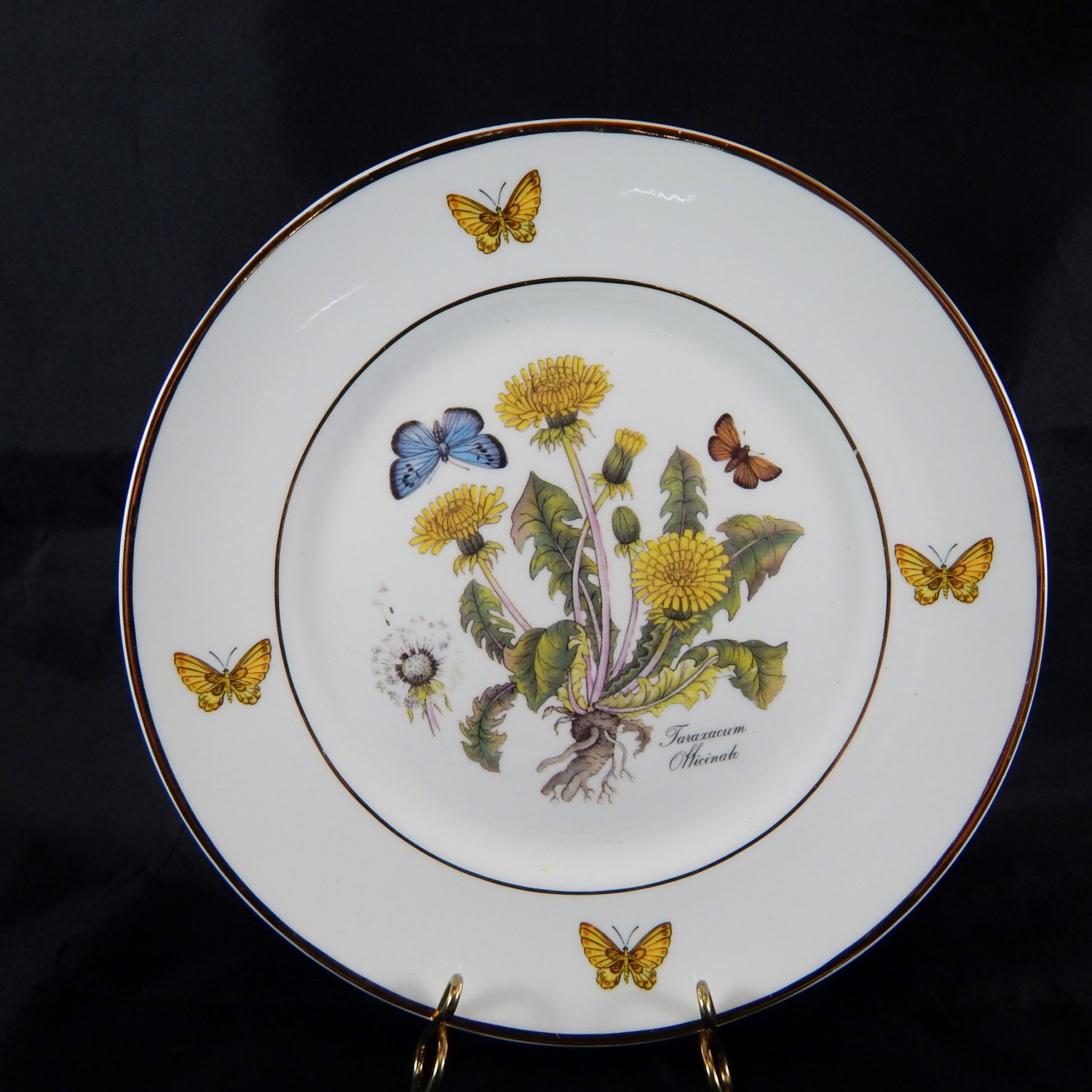 Botanical Garden Royal Danube Primula Vulgaris 1886 Plate Set - Etsy