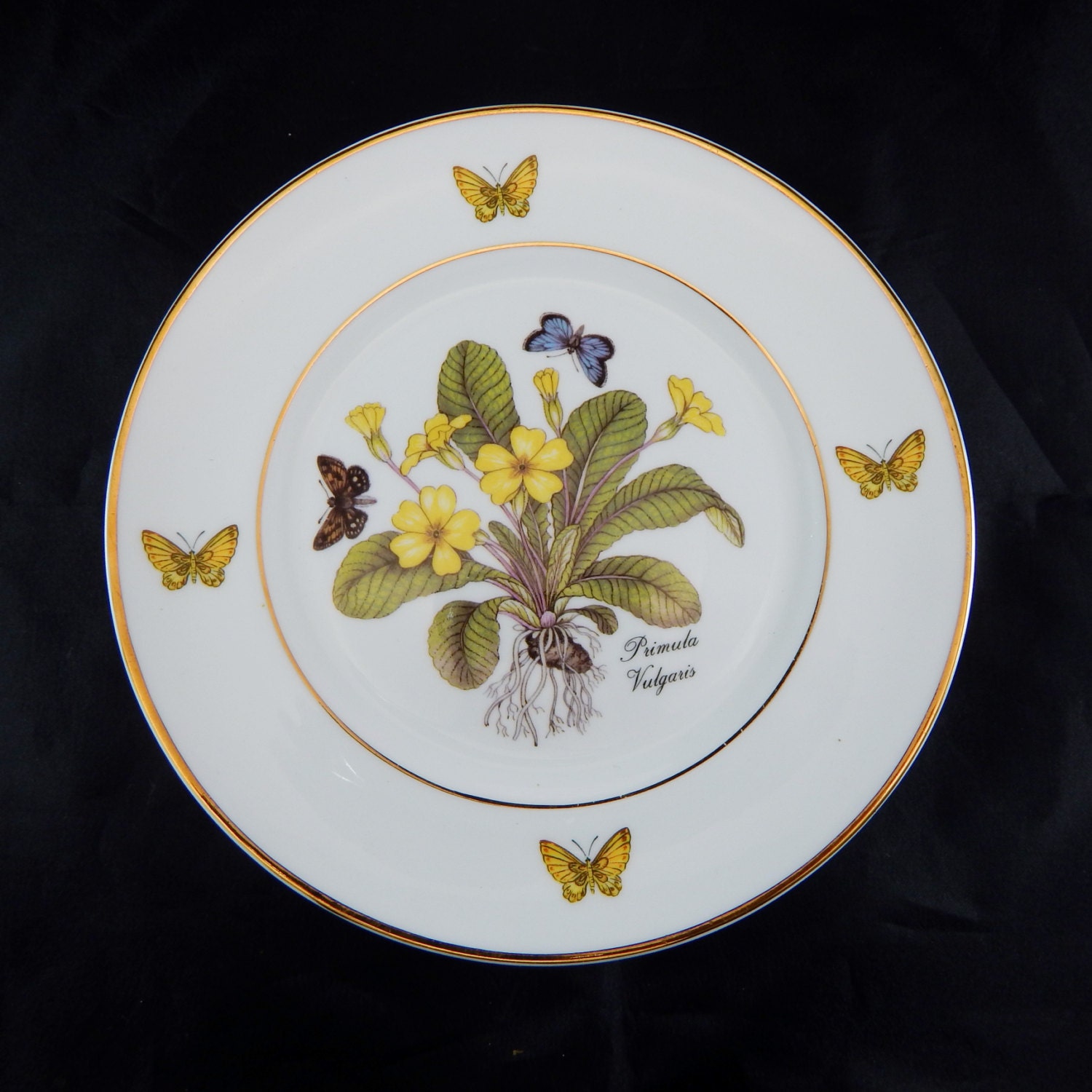 Botanical Garden Royal Danube Primula Vulgaris 1886 Plate Set - Etsy