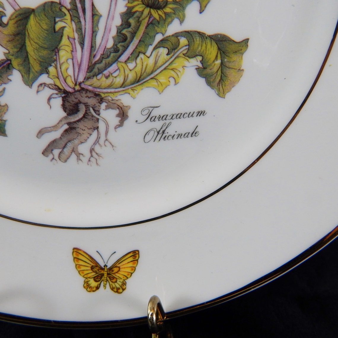 Botanical Garden Royal Danube Primula Vulgaris 1886 Plate Set | Etsy