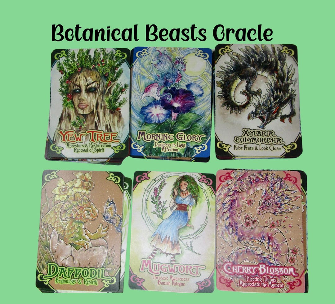 Botanical Beasts Oracle Card Deck: Fantasy Creatures, Divination ...