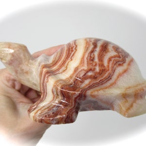 4.5 Red Tiger Calcite Turtle Crystal Stone Animal Carving Figurine ...