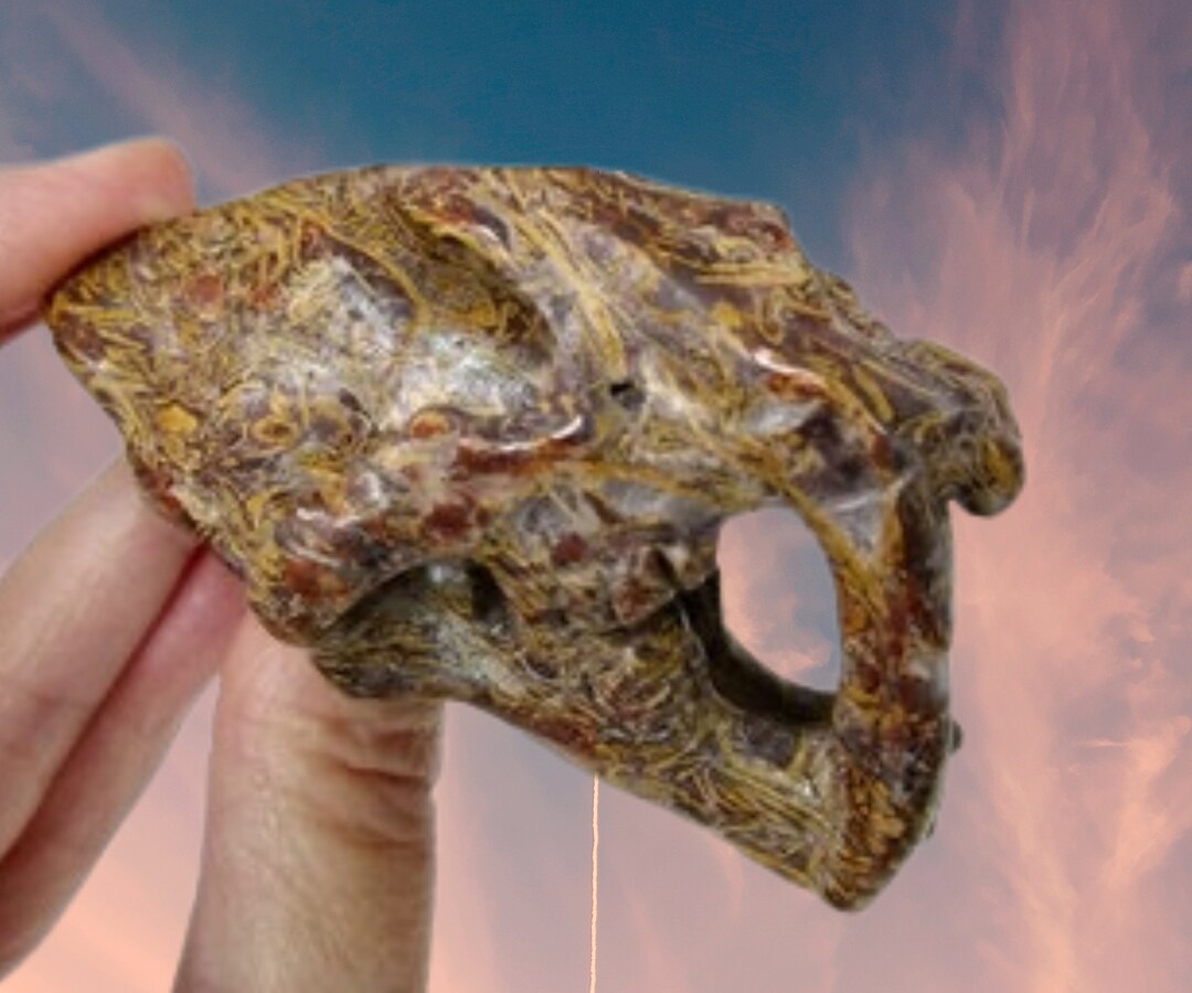 3.15 Saber-tooth Tiger Miriam Calligraphy Script Stone Crystal Skull ...