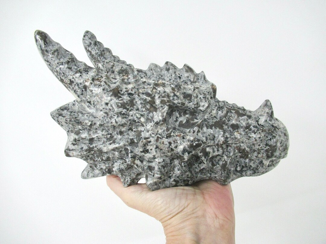 8" Natural Yooperlite Stone Crystal Dragon Skull Head Carving, Crystal ...