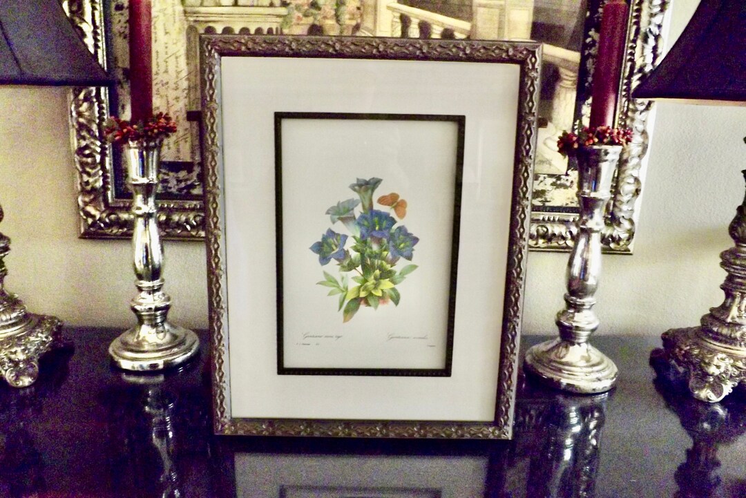Blue Gentiane Sans Tige Trumpet Flower Botanical Print Double Framed ...