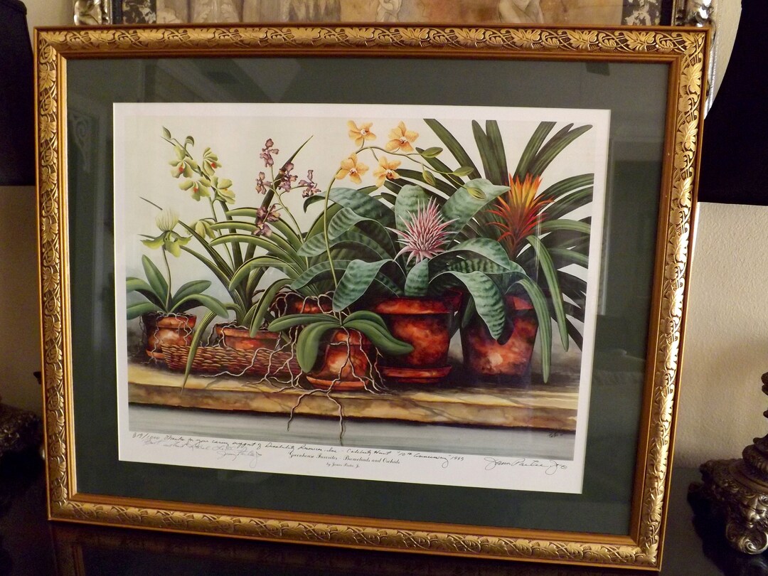 Lithograph by James Partee Jr. Greenhouse Favorites Bromeliads and ...