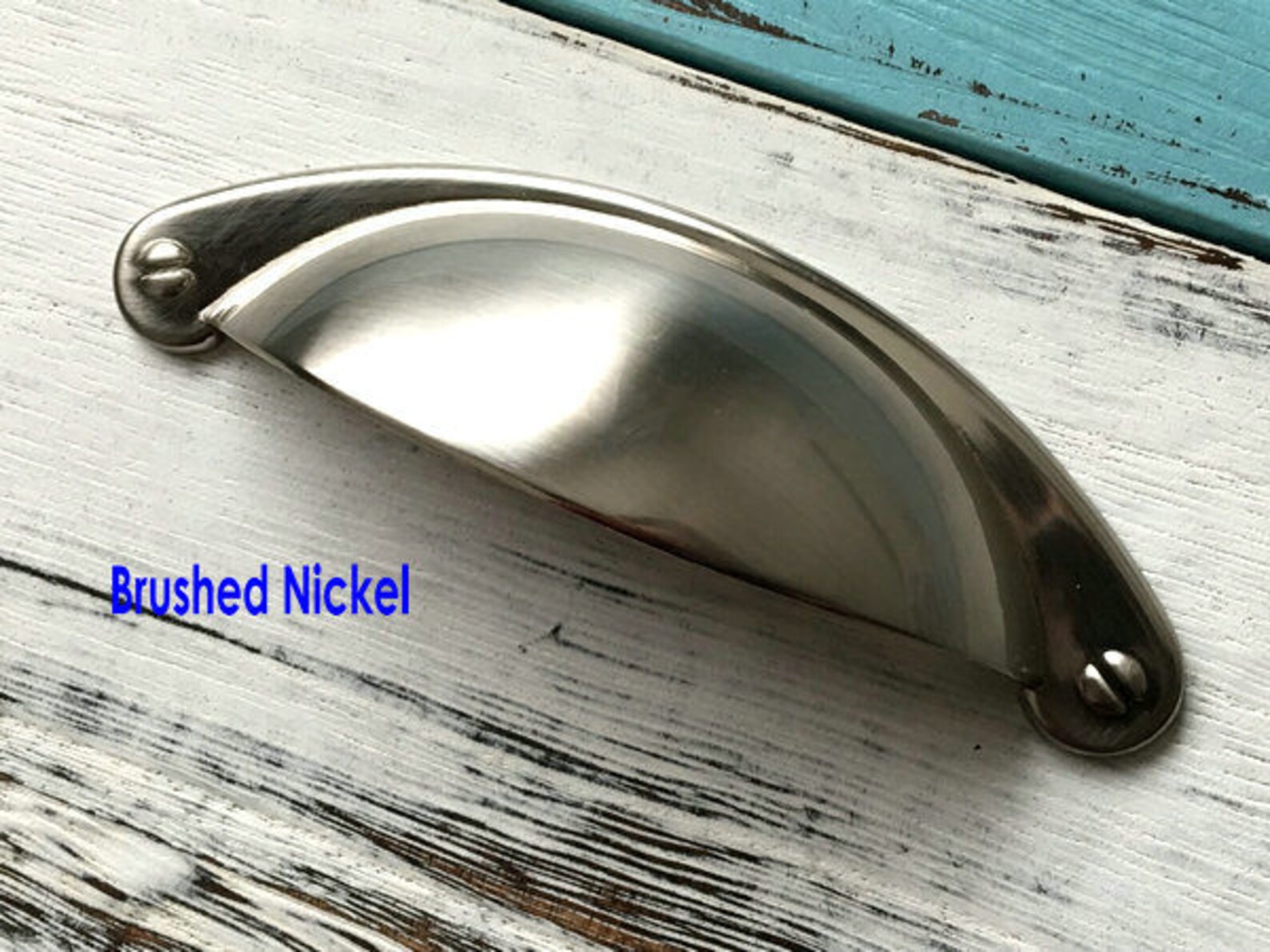 2.5 Cup Dresser Pull Bin Shell Drawer Pulls Handles - Etsy