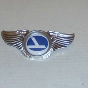 Custom Design Novelty Aviation Airline Pilot Captain Uniform Wing Pin ...