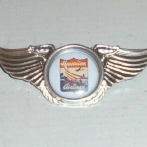 Custom Design Novelty Aviation Airline Pilot Captain Uniform Wing Pin ...