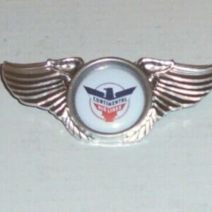 Custom Design Novelty Aviation Airline Pilot Captain Uniform Wing Pin ...