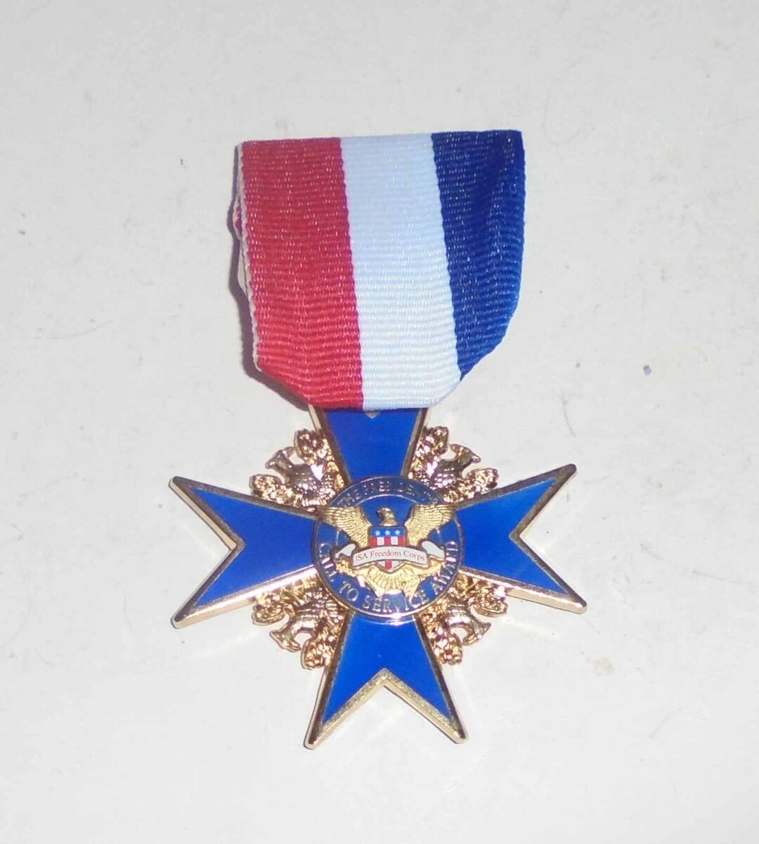 USA President Eagle Democratic Party Freedom Patriot Vet Merit Election ...