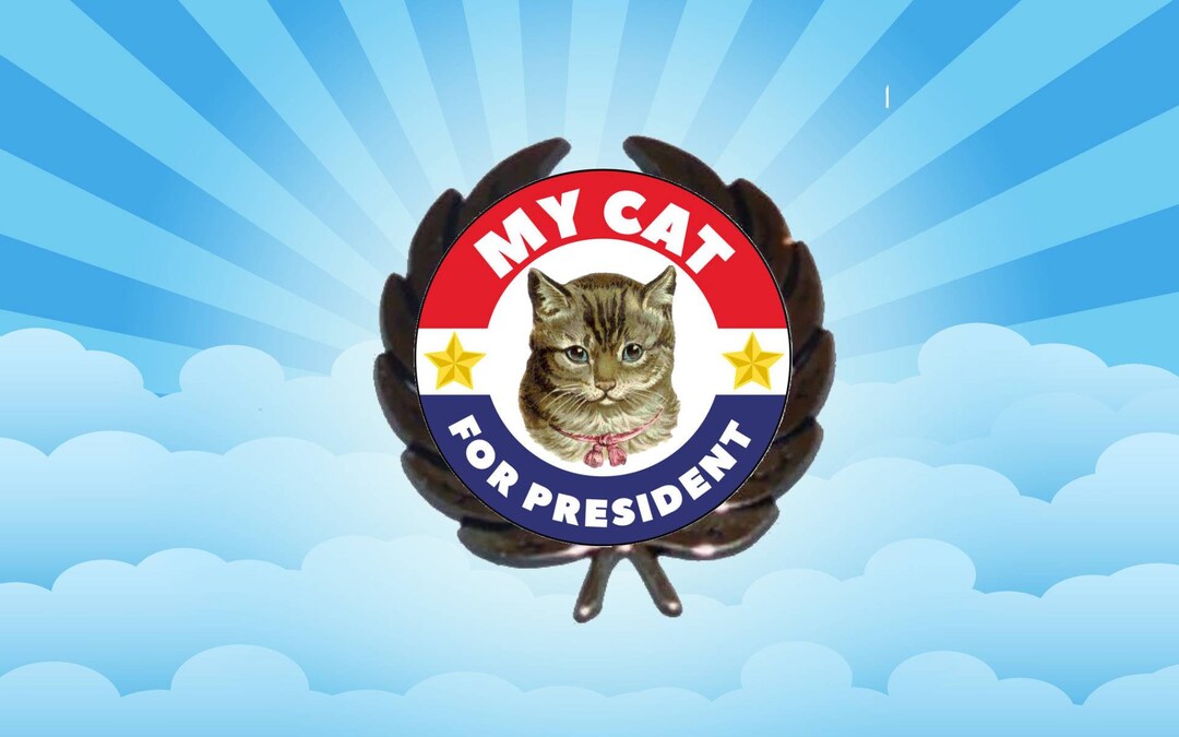 Custom Made Design USA My Cat Kitty for President Button Hood Door ...
