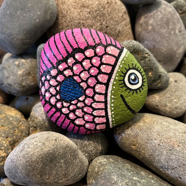 Fish Painted Rocks - Etsy