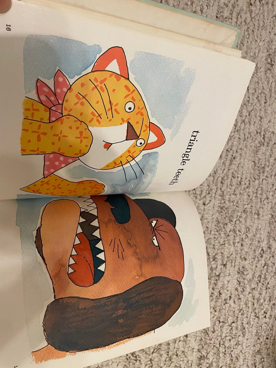 Vintage Book 1975 calico Cat Looks Around by Donald Charles, Hardcover ...