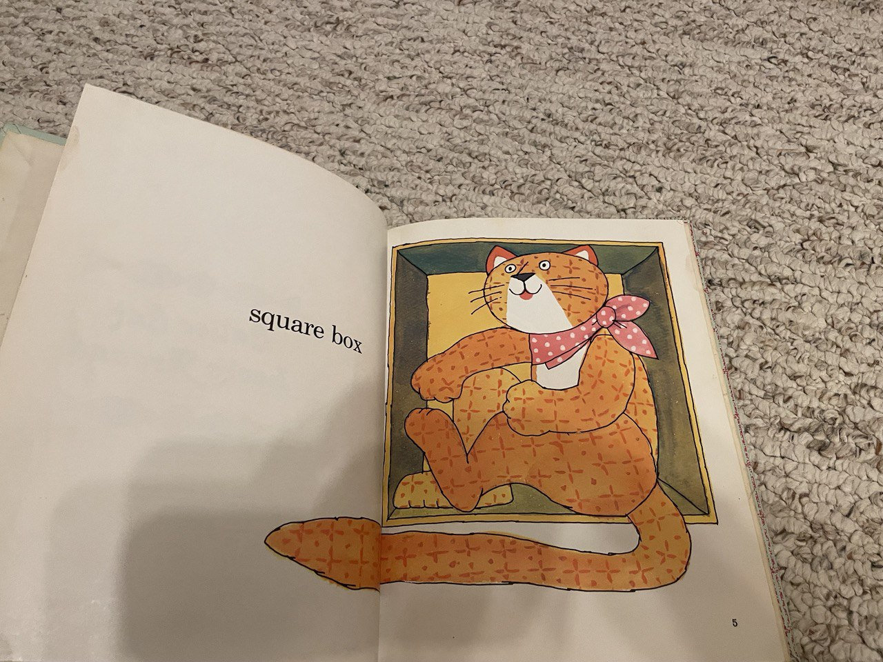 Vintage Book 1975 calico Cat Looks Around by Donald Charles, Hardcover ...