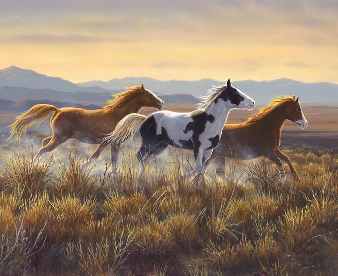 Riley Blake Wild Horses Open Country 36" X 43" Panel (PD15531-OPEN ...