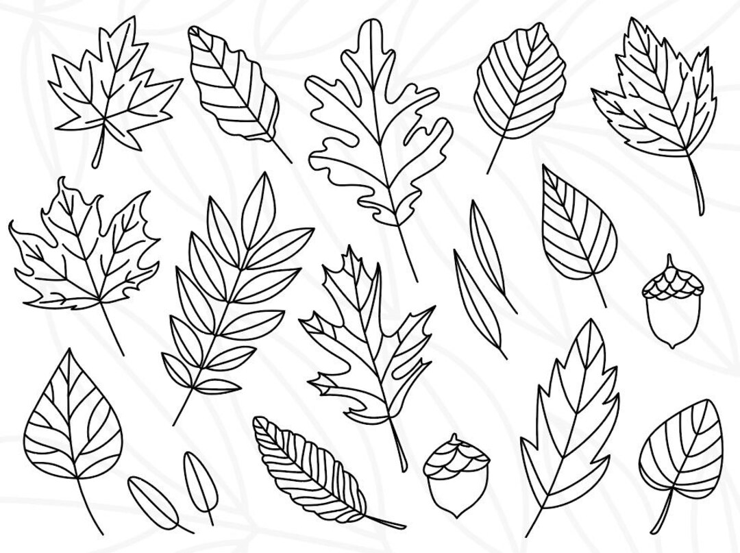 Fall Leaves SVG Bundle: Foil Quill Single Line Designs (digital ...