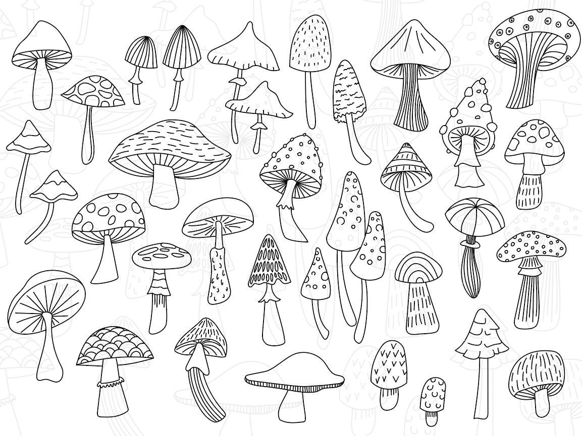 Mushroom SVG Bundle Cricut Mushrooms Cut Files Outline - Etsy Australia