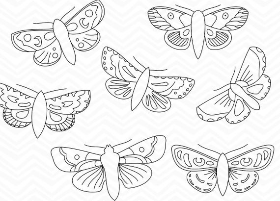 Single Line Moths SVG Foil Quill Moth Bundle | Etsy