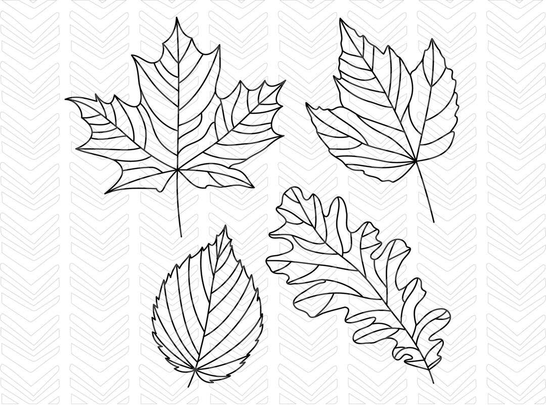 Single Line Leaf SVG Bundle - Foil Quill Leaves SVG - Single Line Fall ...