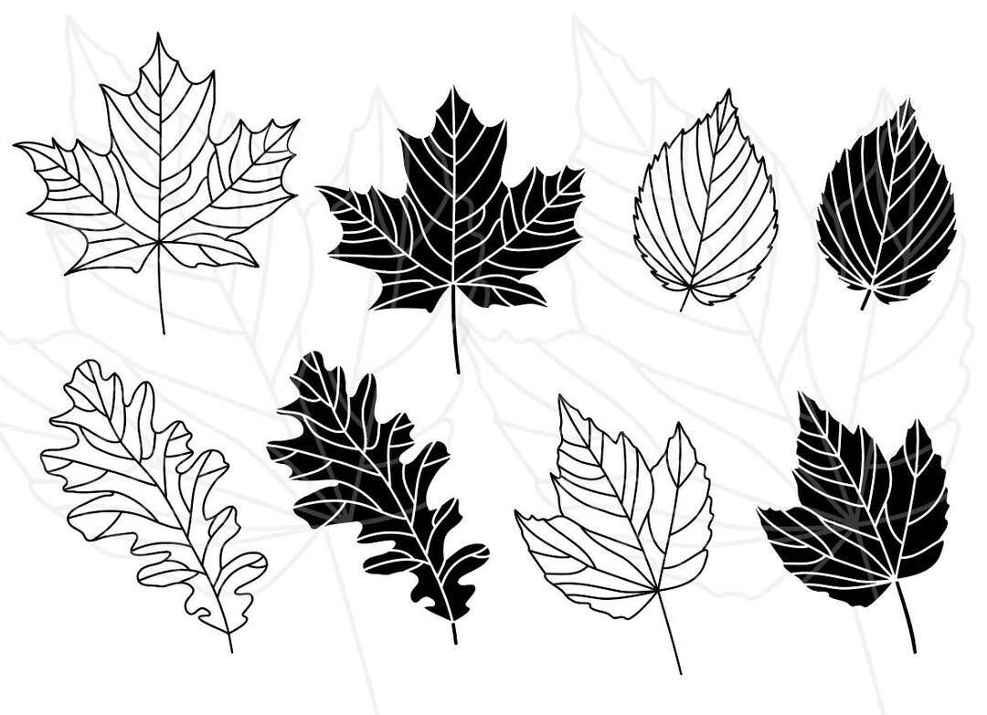 Fall Leaf SVG Bundle - Cut File Leaves SVG - Doodle Fall Leaves DXF ...