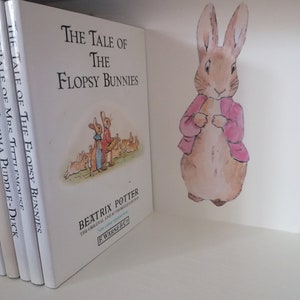 Wooden Bookcase Shelf Storage Unit Freestanding Beatrix Potter Flopsy ...