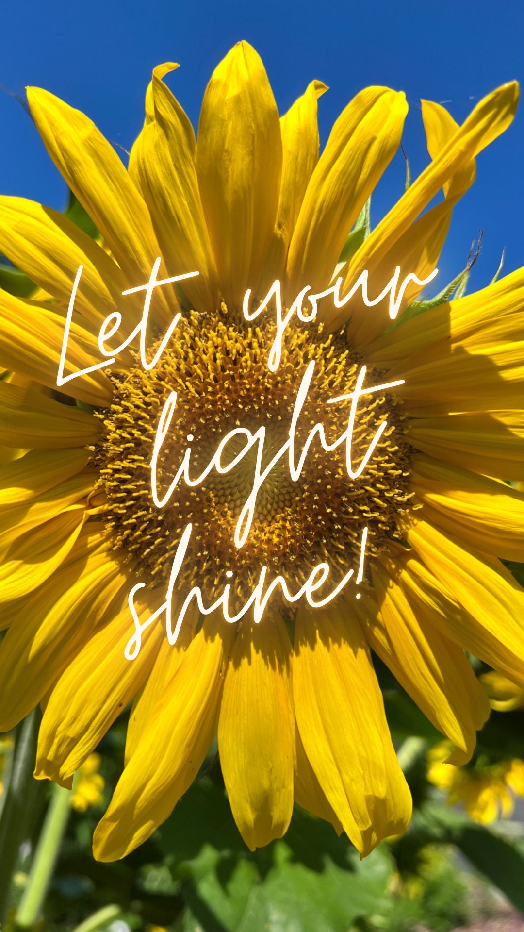 Sunflower - Let Your Light Shine - Etsy
