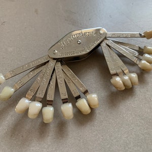 Enamel Color Chart of Old Teeth - Etsy