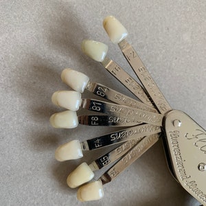 Enamel Color Chart of Old Teeth - Etsy