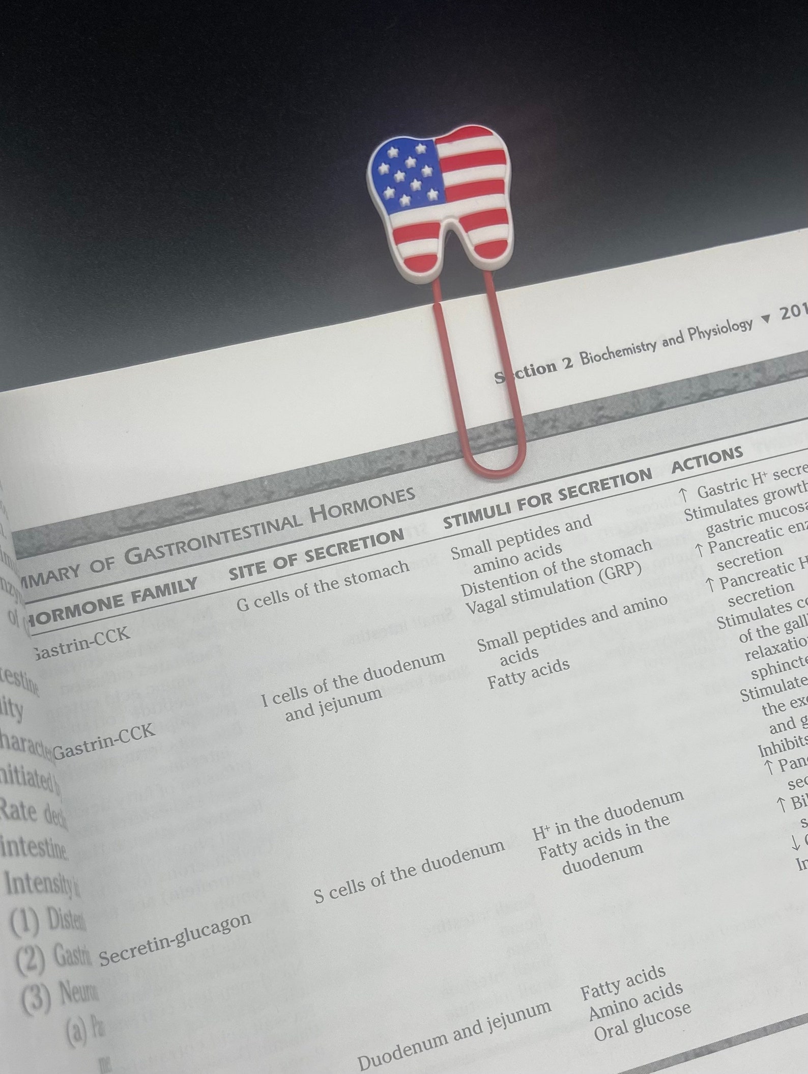 Dental Themed Paper Clip Bookmark Teeth Charms. Tooth Charms. Dental ...