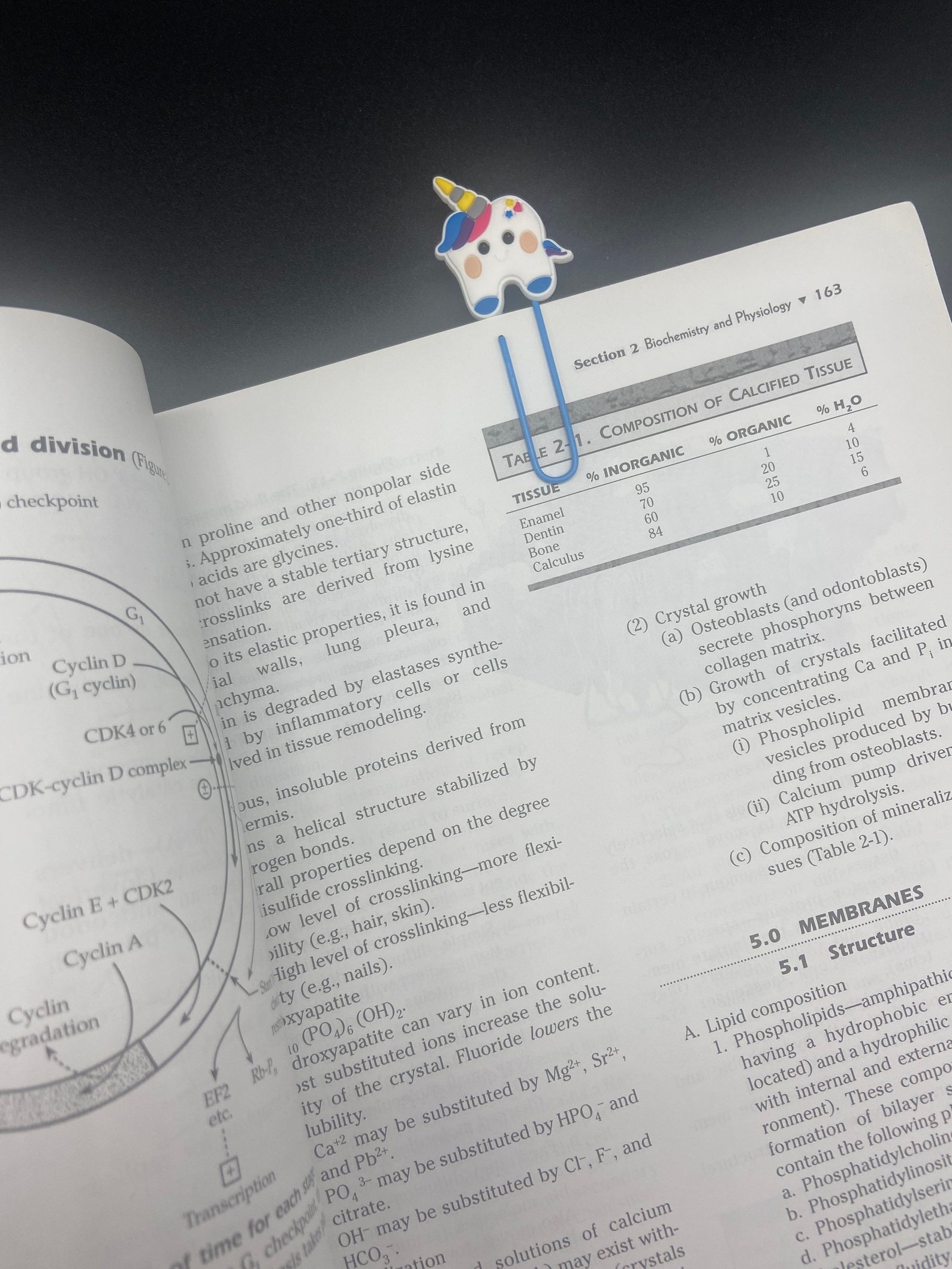 Dental Themed Paper Clip Bookmark Teeth Charms. Tooth Charms. Dental ...