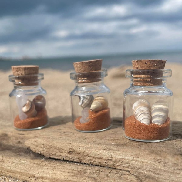 Glass Bottle With Shells - Etsy